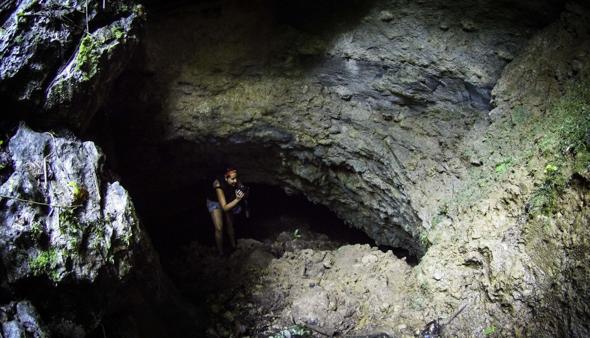 Hotel Palmar del Río Premium | Buen Trip Travel APP